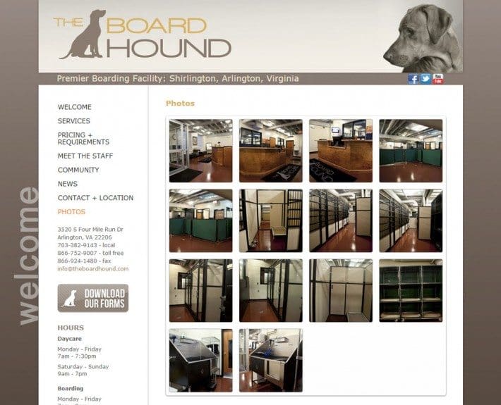The Board Hound WordPress Web Design | WordPress Web Dev